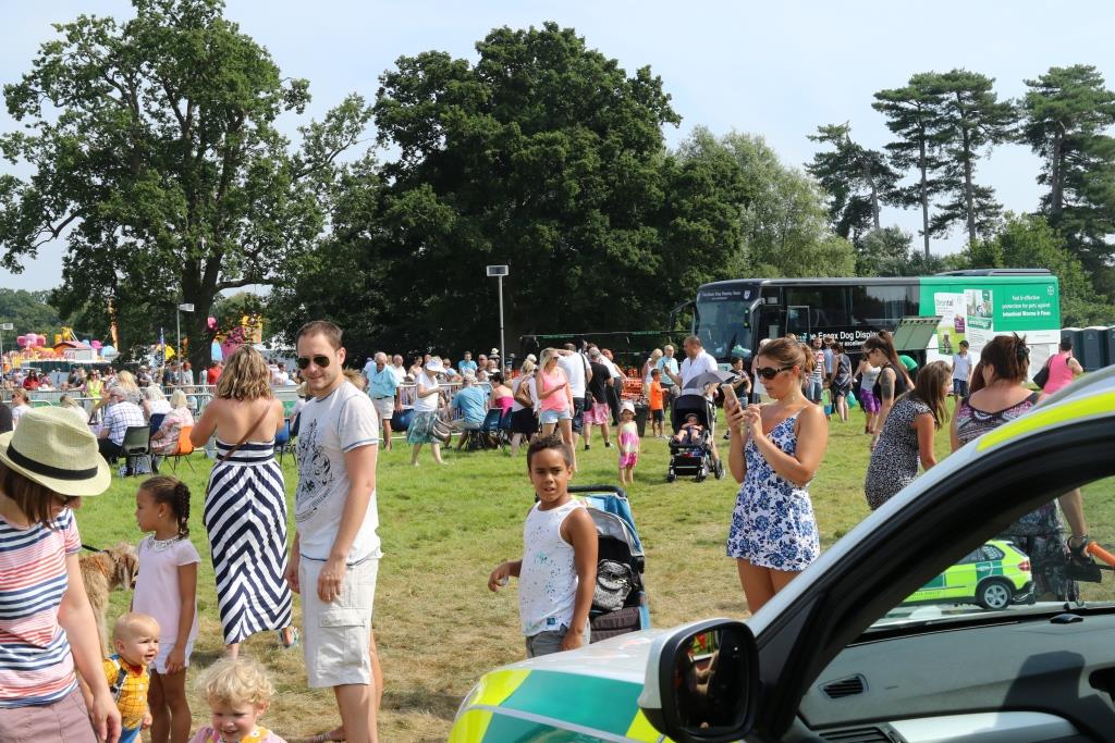 The Swallowfield Show