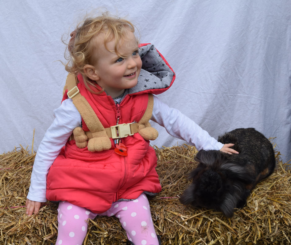 Furlock Holmes Animal Care | The Swallowfield Show