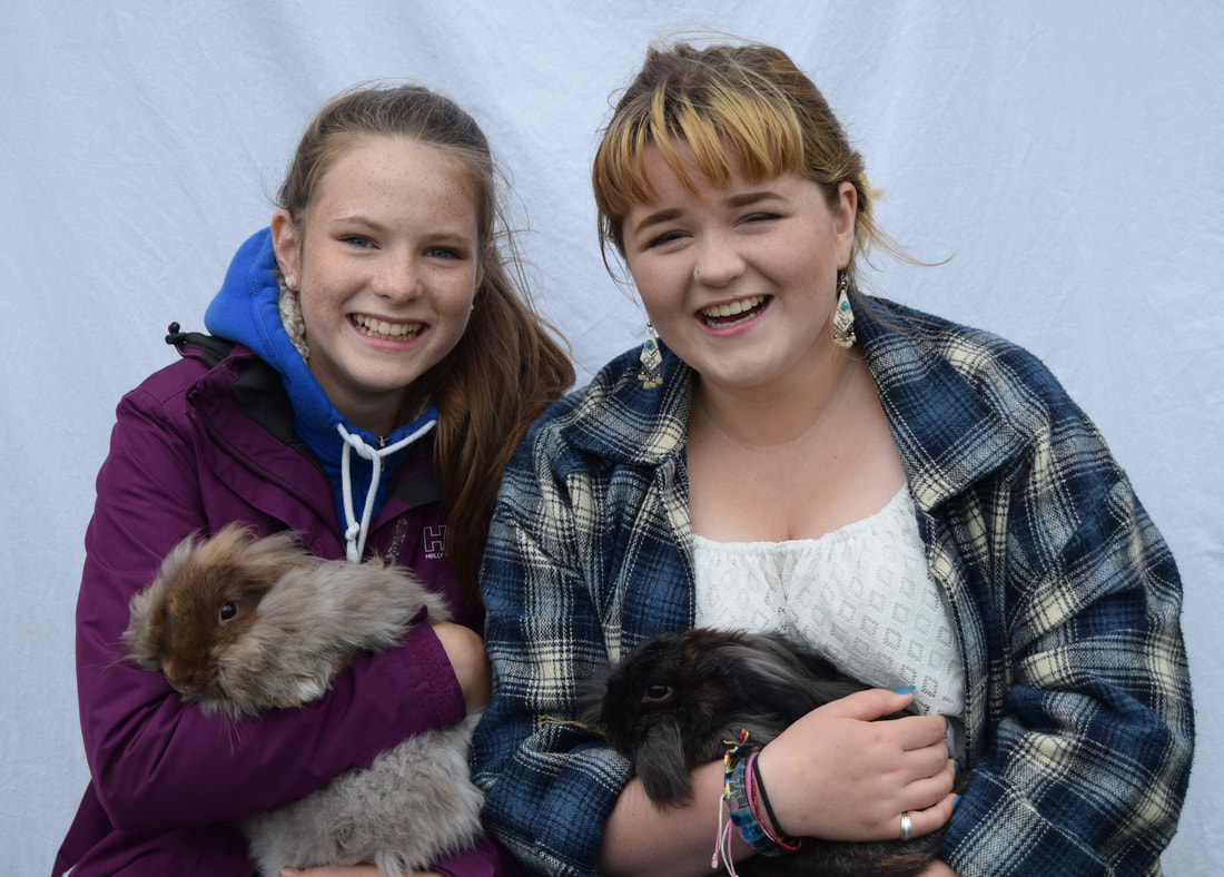 Furlock Holmes Animal Care | The Swallowfield Show