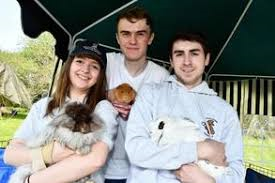 Furlock Holmes Animal Care | The Swallowfield Show