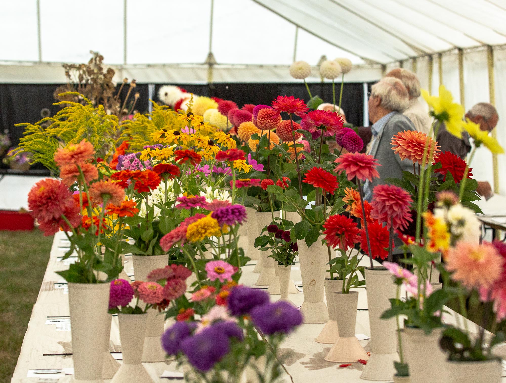 Horticultural Displays at | The Swallowfield Show