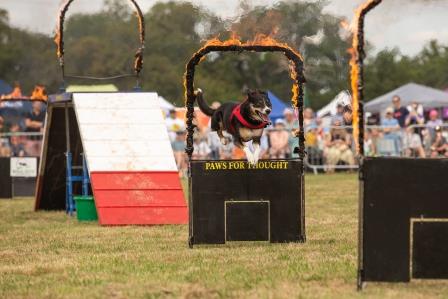 The Swallowfield Show