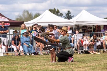 The Swallowfield Show