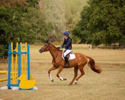 The Swallowfield Show