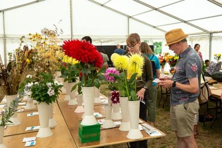 The Swallowfield Show