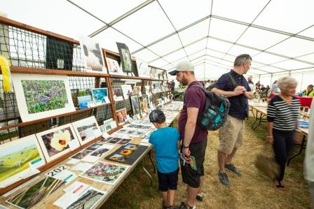 The Swallowfield Show