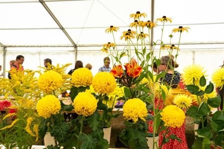 The Swallowfield Show