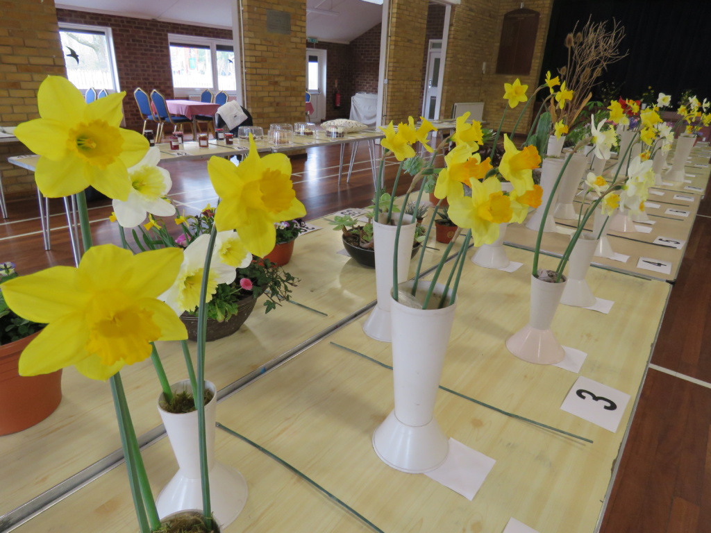 Spring Show 2026 | The Swallowfield Show